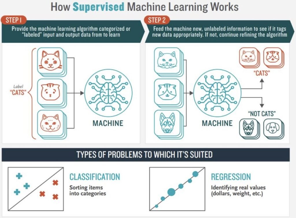 Mastering Supervised Learning: A Comprehensive Technical Guide - Cranes Varsity