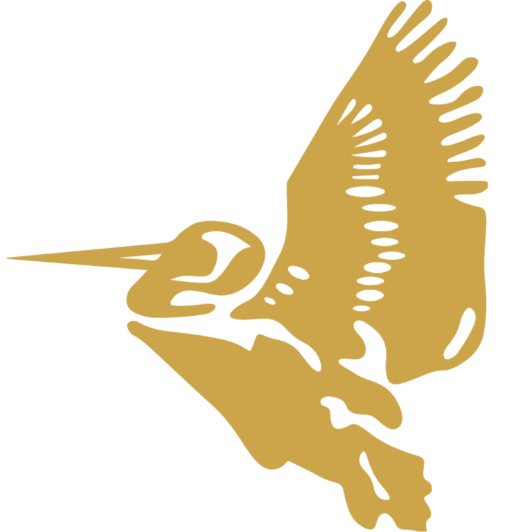 About Cranes Varsity